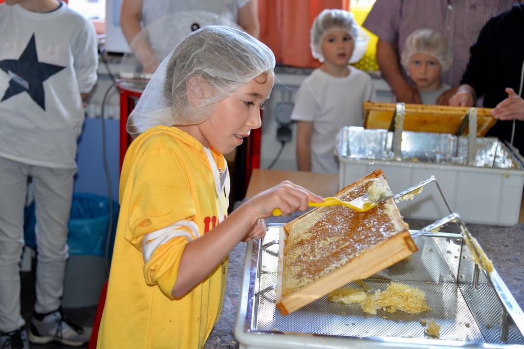 Mit der Biene durch das Jahr: 2023 gibt es eine gute Honig-Ausbeute