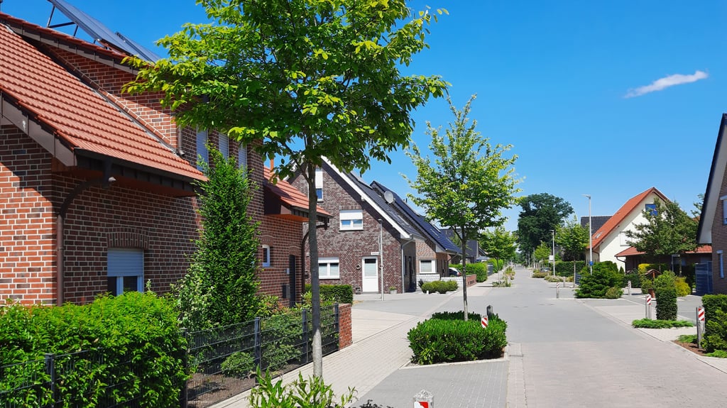 Felsenbirne ist der Favorit