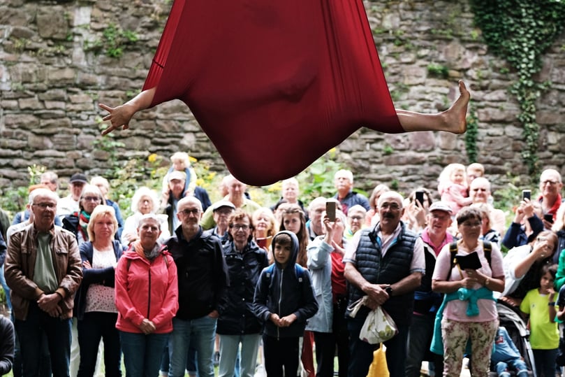 Faszinierende Seilakrobatik zwischen alten Bäumen