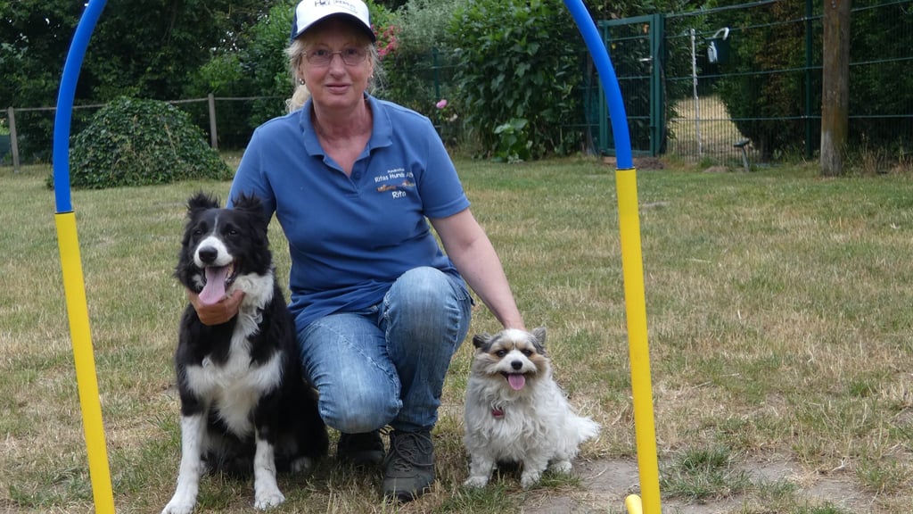 Kommandos und Körpersprache