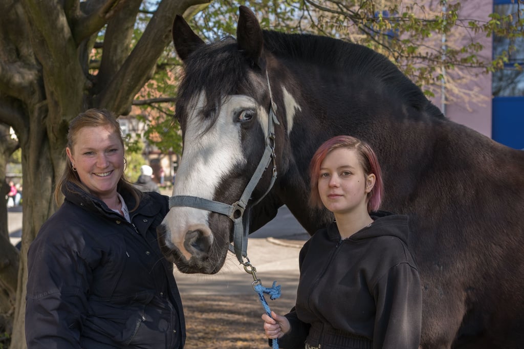 Schloss Hamborn findet alternative Wege im Umgang mit Schulvermeidern