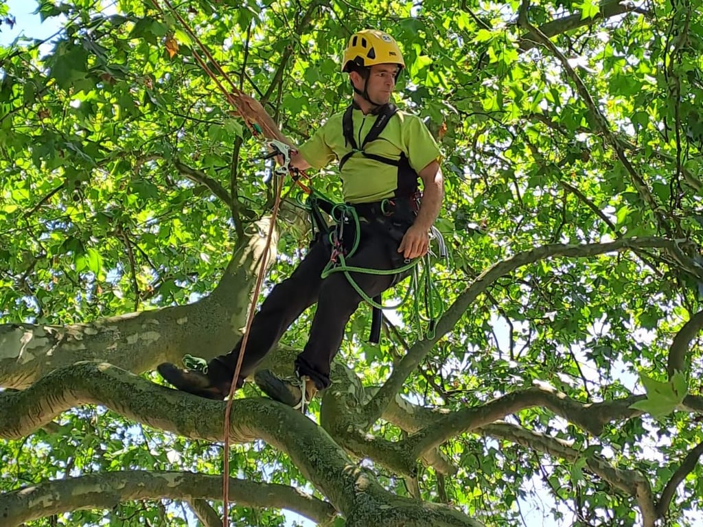 Was ich am Wochenende in Dülmen wissen muss