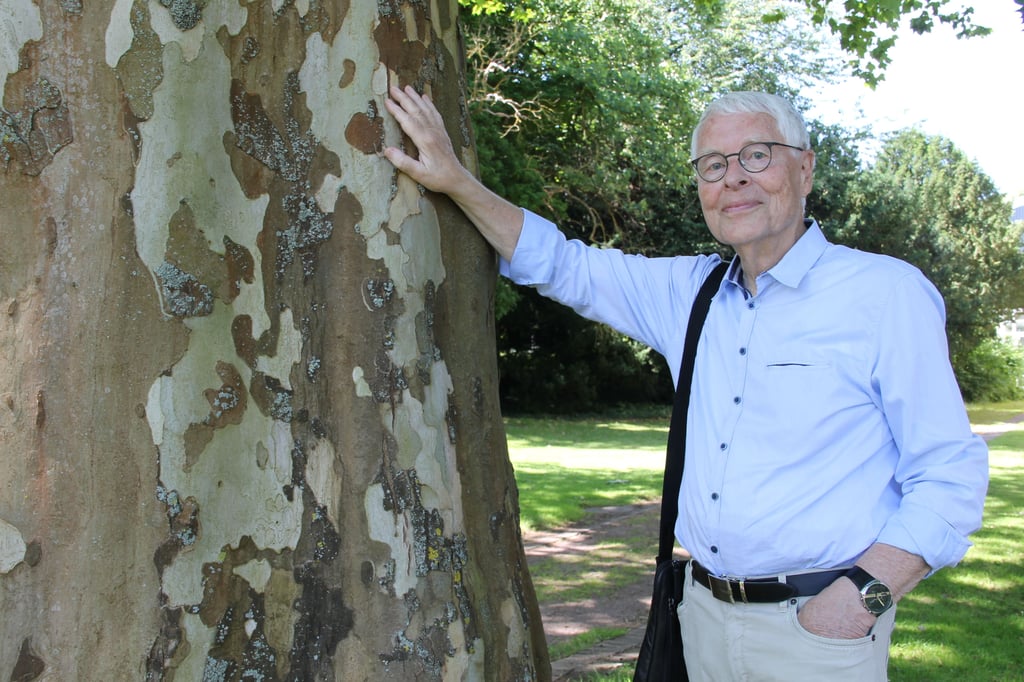 Bad Oeynhausen: Manche Eichen im Kurpark sind fast 375 Jahre alt