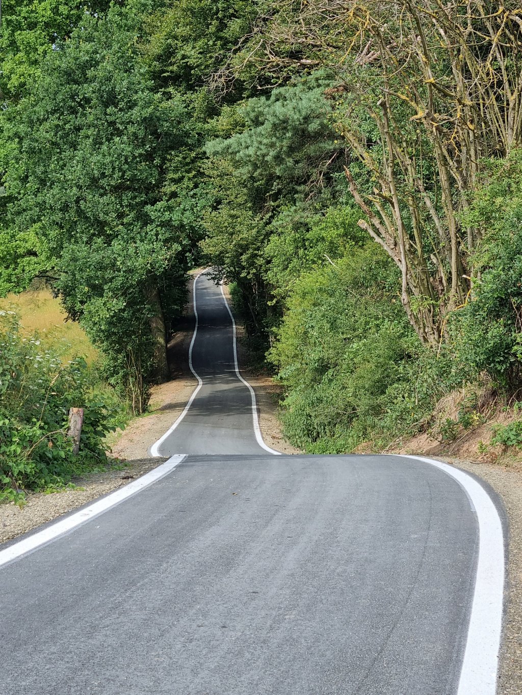 Radweg: Lückenschluss zwischen Volkmarsen und Breuna