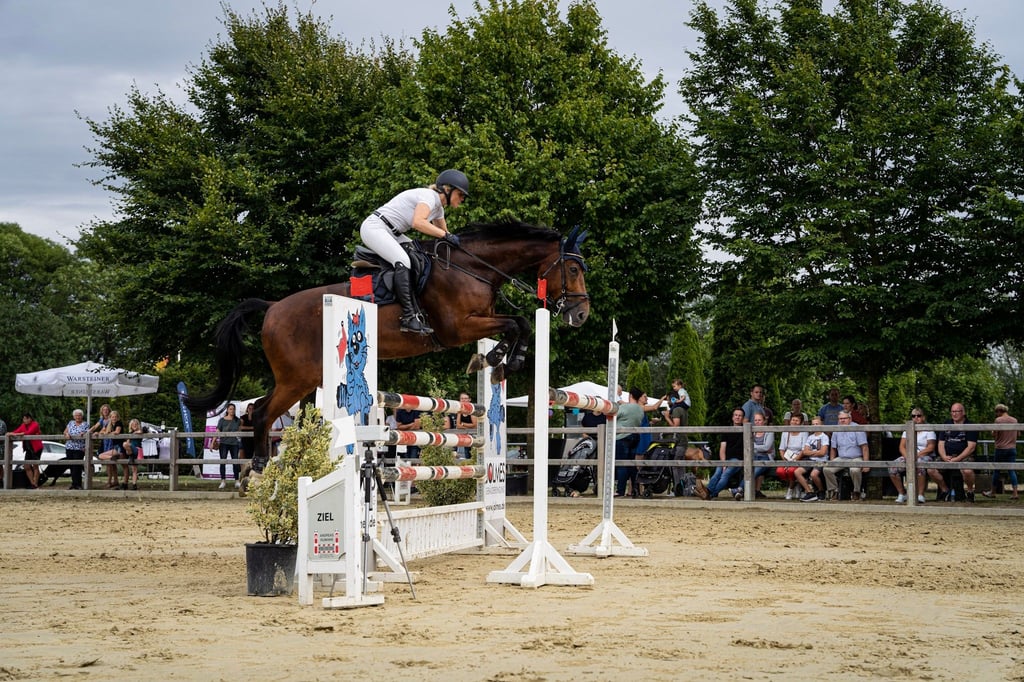 Reiten: große Outdoor-Classics in Salzkotten