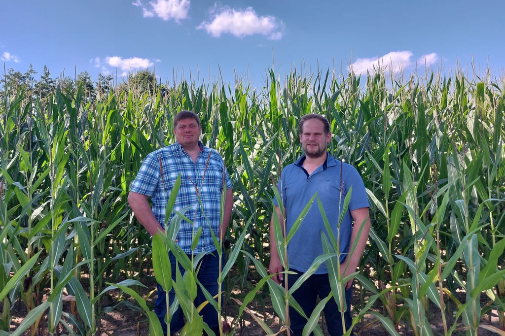 Erst zu trocken, dann viel zu nass