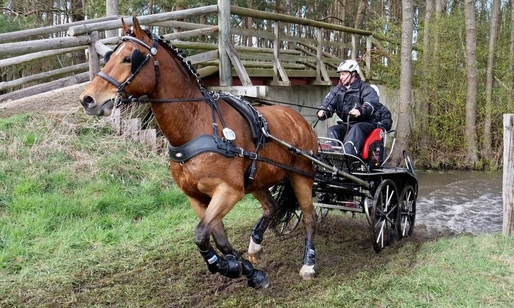Reit- und Fahrverein lädt zum Jubiläumsturnier