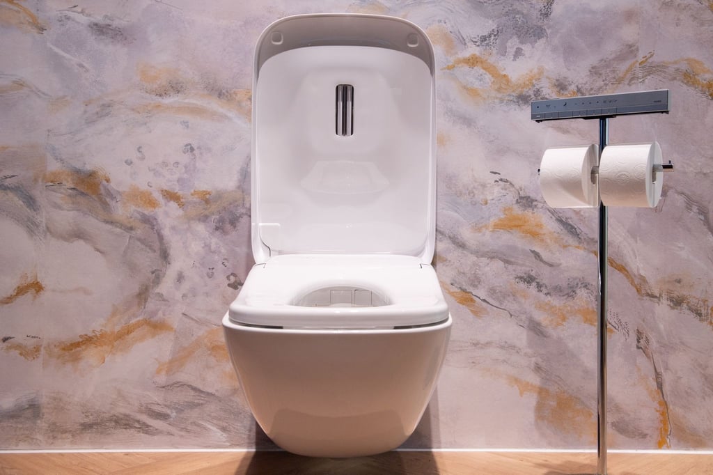Ein besseres Örtchen: Das können moderne Toiletten