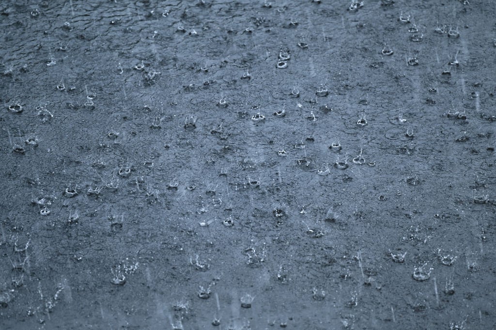 Wasserverband: Es braucht mehr Flächen für Hochwasserschutz