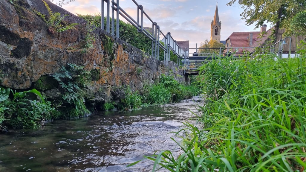 Neuer Anlauf für den „Waschplatz am Hellbach“ in Scherfede