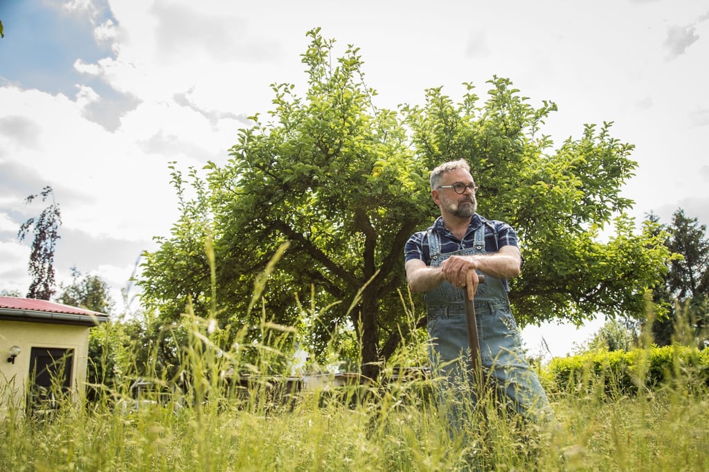 So verbessern Sie Ihren Gartenboden