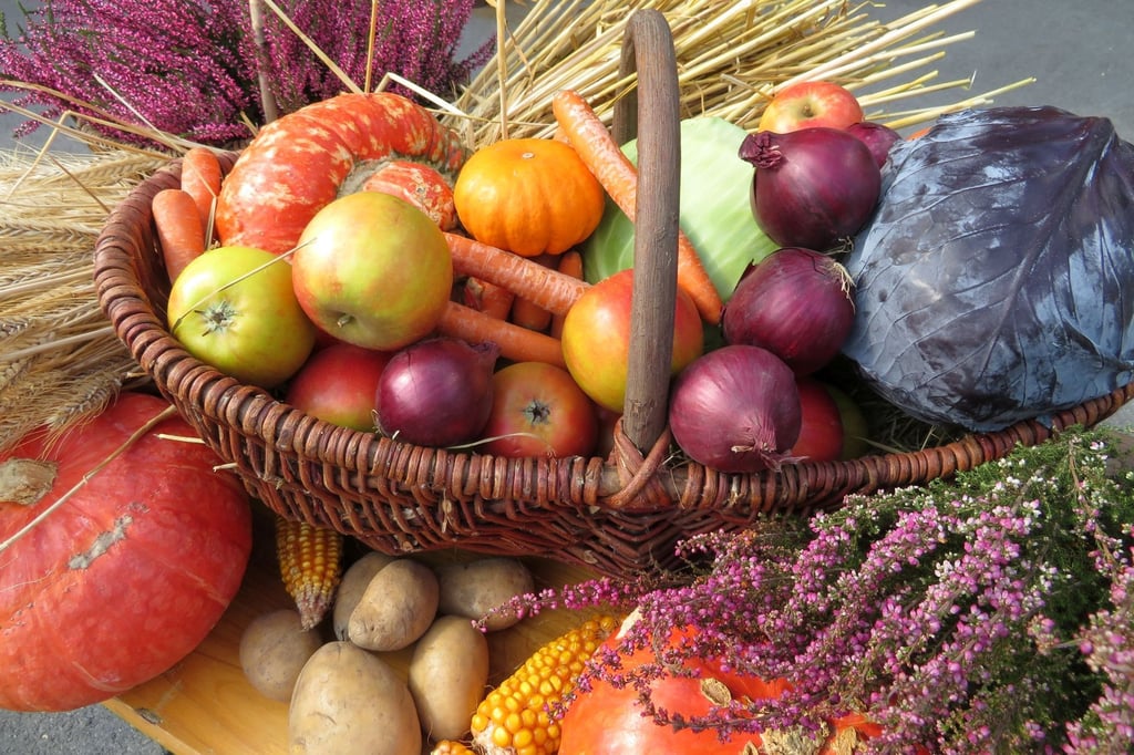 Oktoberwoche: Landwirte öffnen in Warburg den Erntedankmarkt