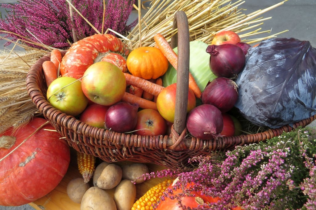 Oktoberwoche: Landwirte öffnen in Warburg den Erntedankmarkt