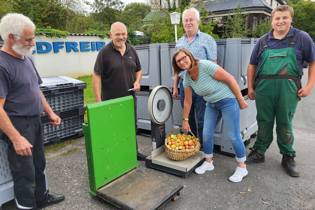 Aus dem Obst wird leckerer Saft