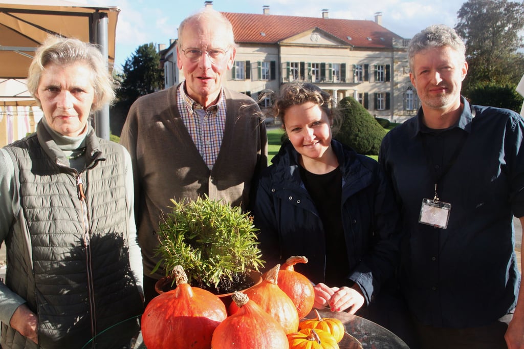 Indie-Pop, Performance und Natur