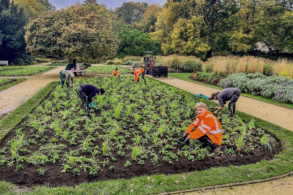 Gärtner pflanzen 10.000 Blumenzwiebeln