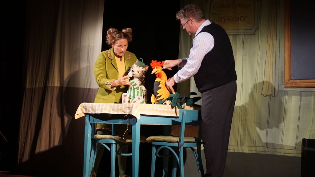 Kater Findus ist ein Besuchermagnet