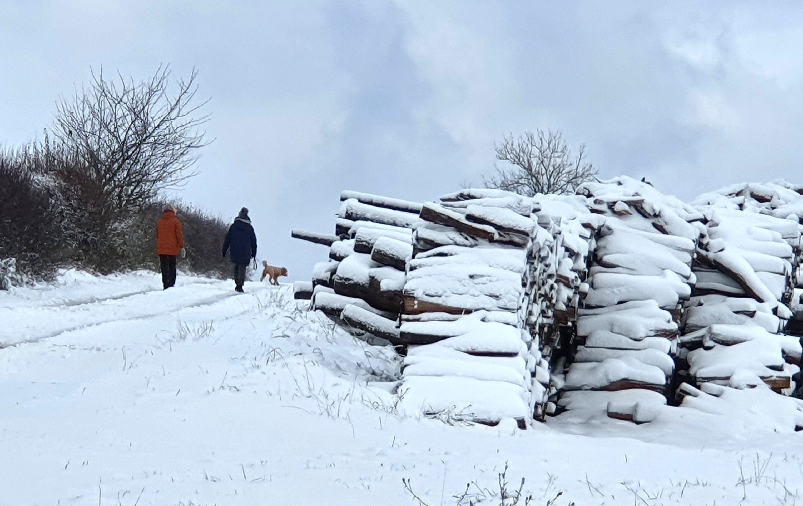 Fotostrecke: Winter ist da - erster Schnee im Kreis Höxter