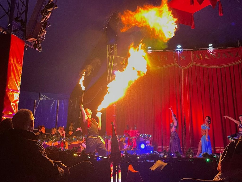 Akrobaten, Clowns und Feuerspucker: Weihnachts-Circus begeistert