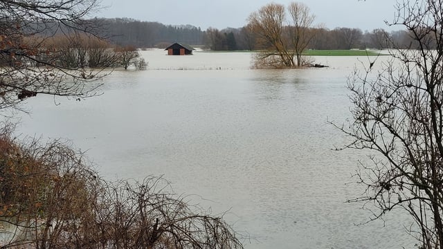 Stab ist in Alarmbereitschaft