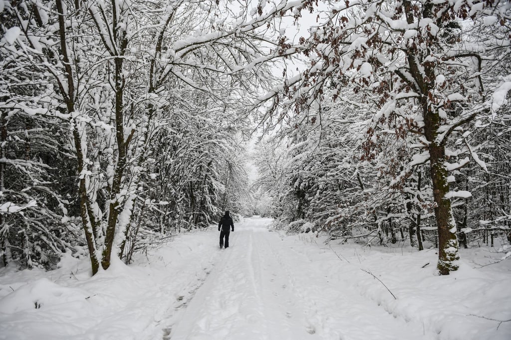 So werden trübe Winter-Momente zur Wohltat