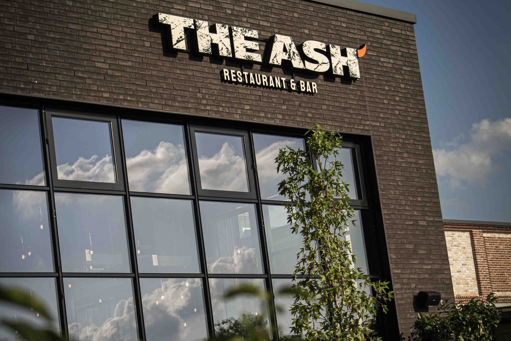 Münster: Restaurant-Kette "The Ash" eröffnet – Veganes 3D-Steak