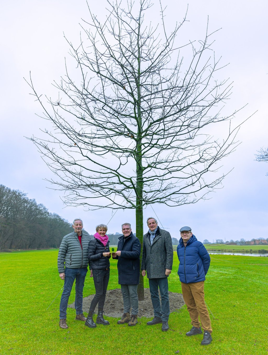 Der neue Baum ist bereits neun Meter groß
