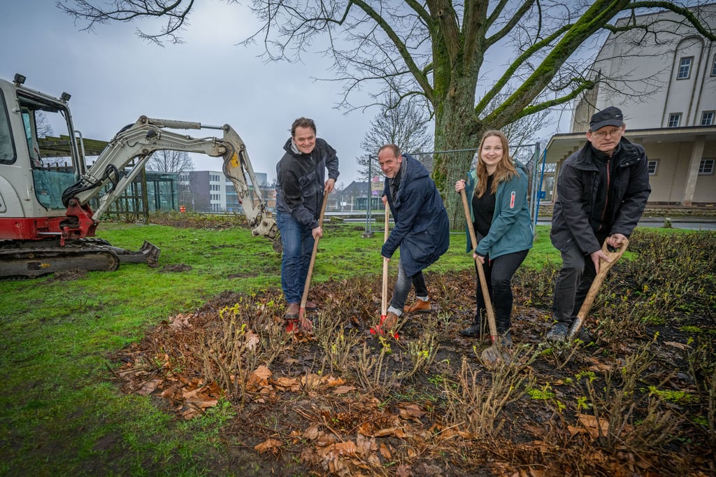 Bielefelder Rosengarten: Großer Umbau hat begonnen