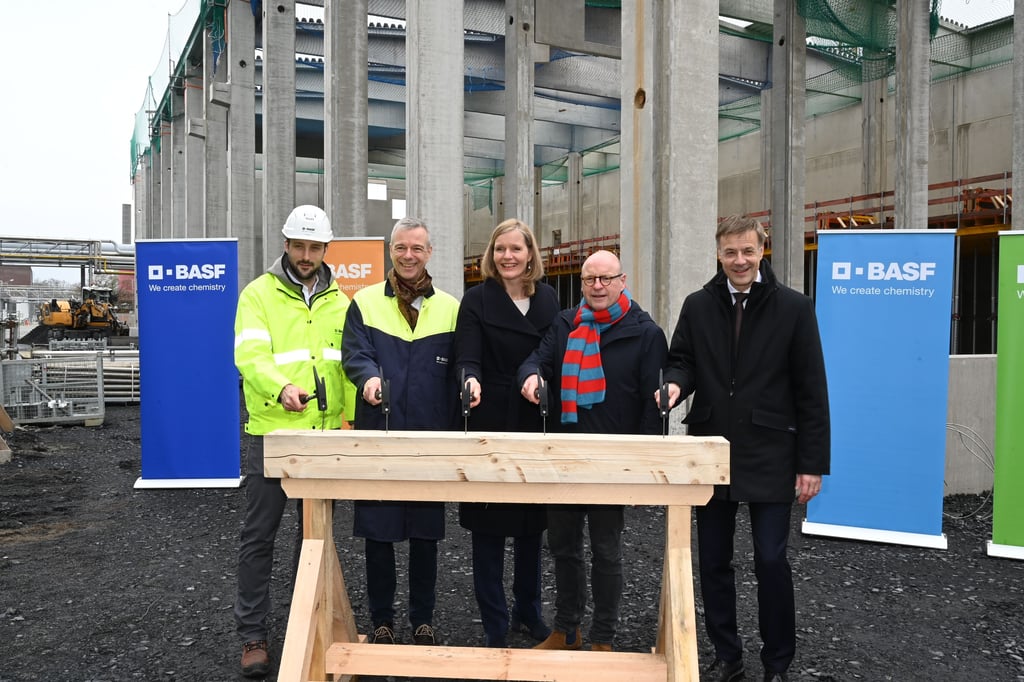 Fast alles erfolgt automatisch