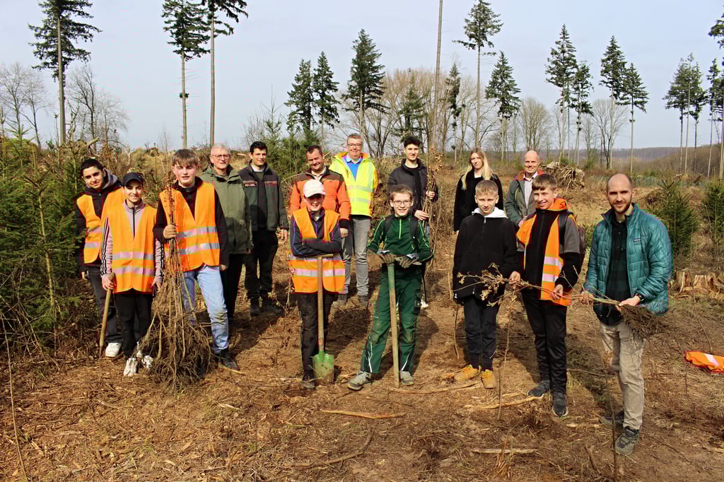 Steinheim: Schüler pflanzen 1400 Bäume im Holz