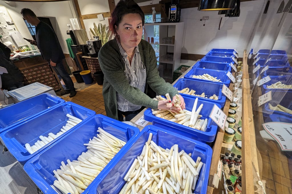 Spargelsaison 2024 gestartet: Tipps für den Einkauf