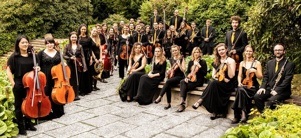 Warburg: Detmolder Kammerorchester tritt beim Meisterkonzert in der Stadthalle auf