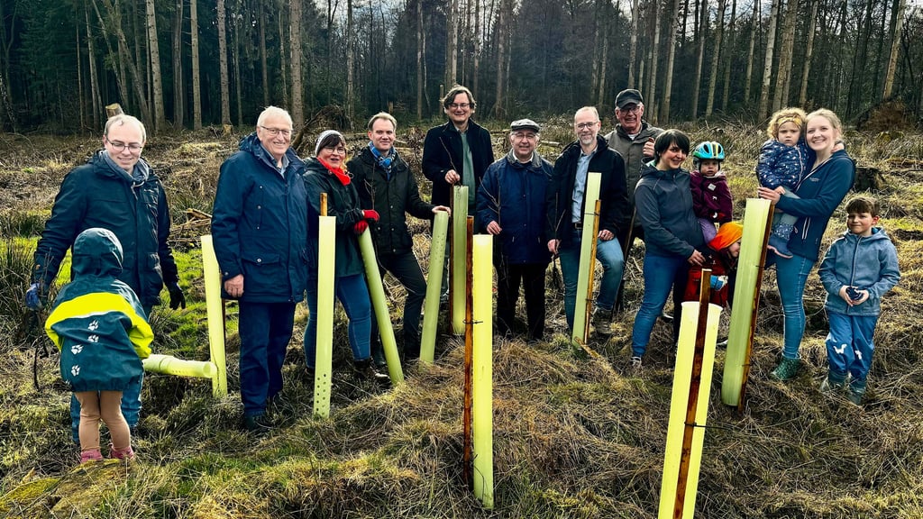 Altenbeken-Schwaney: Rund 600 neue Bäume für den Schwaneyer Forst