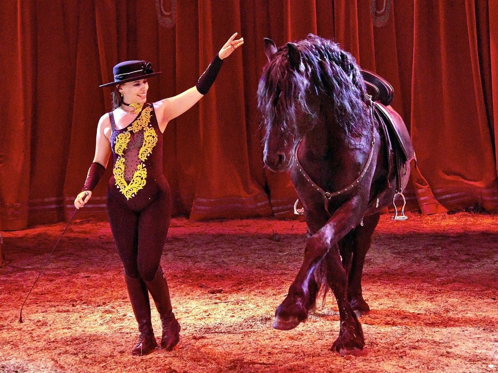 Circus Paul Busch in Lübbecke: Pferdedressur und Todesrad