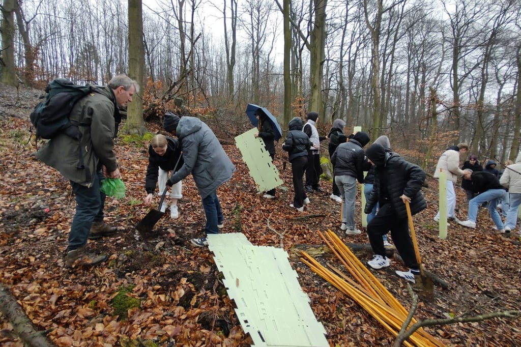 100 Schüler setzen 100 Eichen