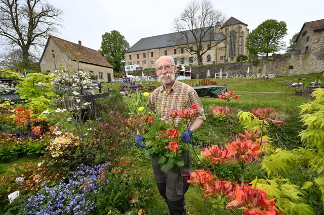 Fotorundgang auf dem Gartenfest im Kloster Dalheim