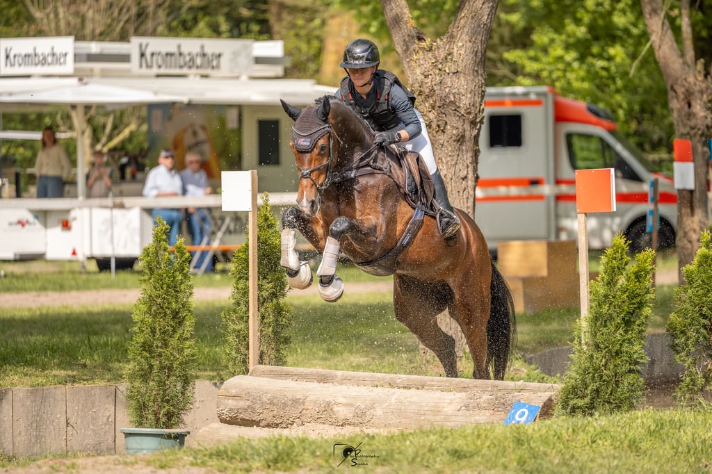 Olympischer Glanz beim RFV Greven