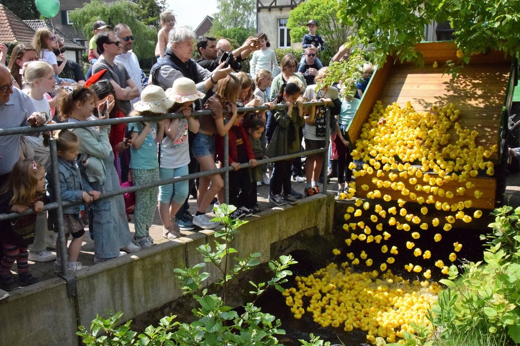 In 31 Minuten ans Ziel