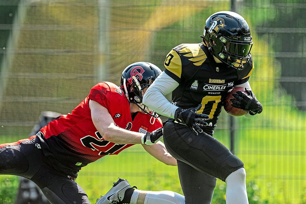 American Football: Blackhawks schlagen Cologne Falcons klar