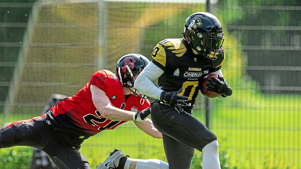 American Football: Blackhawks schlagen Cologne Falcons klar
