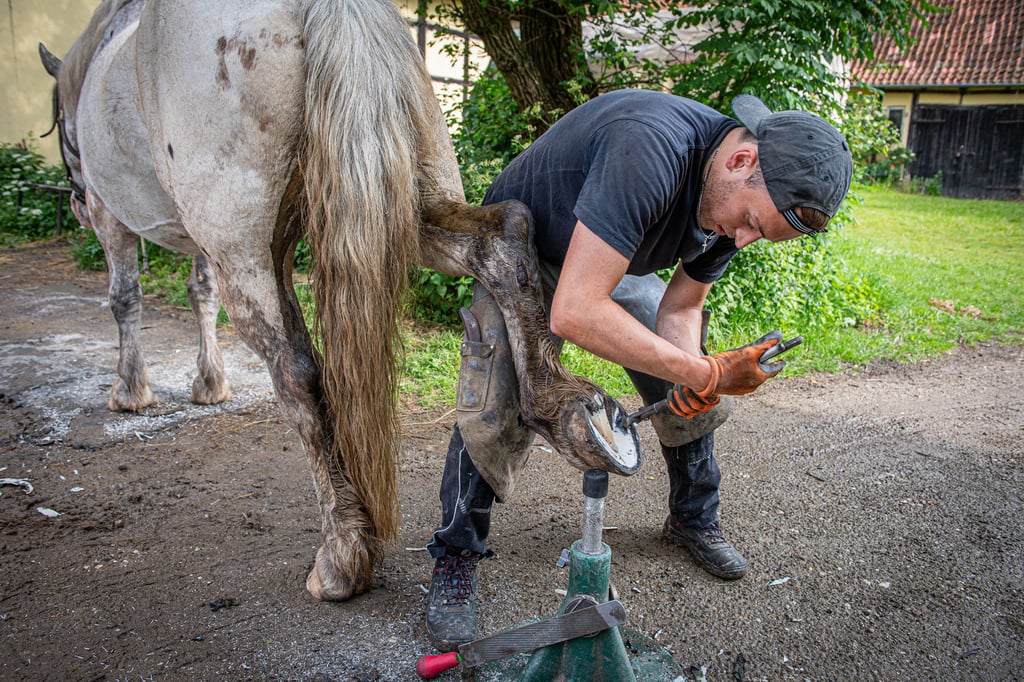 Hufschmiede in Aktion: Vater und Sohn touren von Stall zu Stall