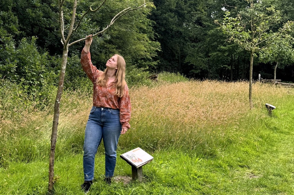 Bürger können Baumstandorte melden