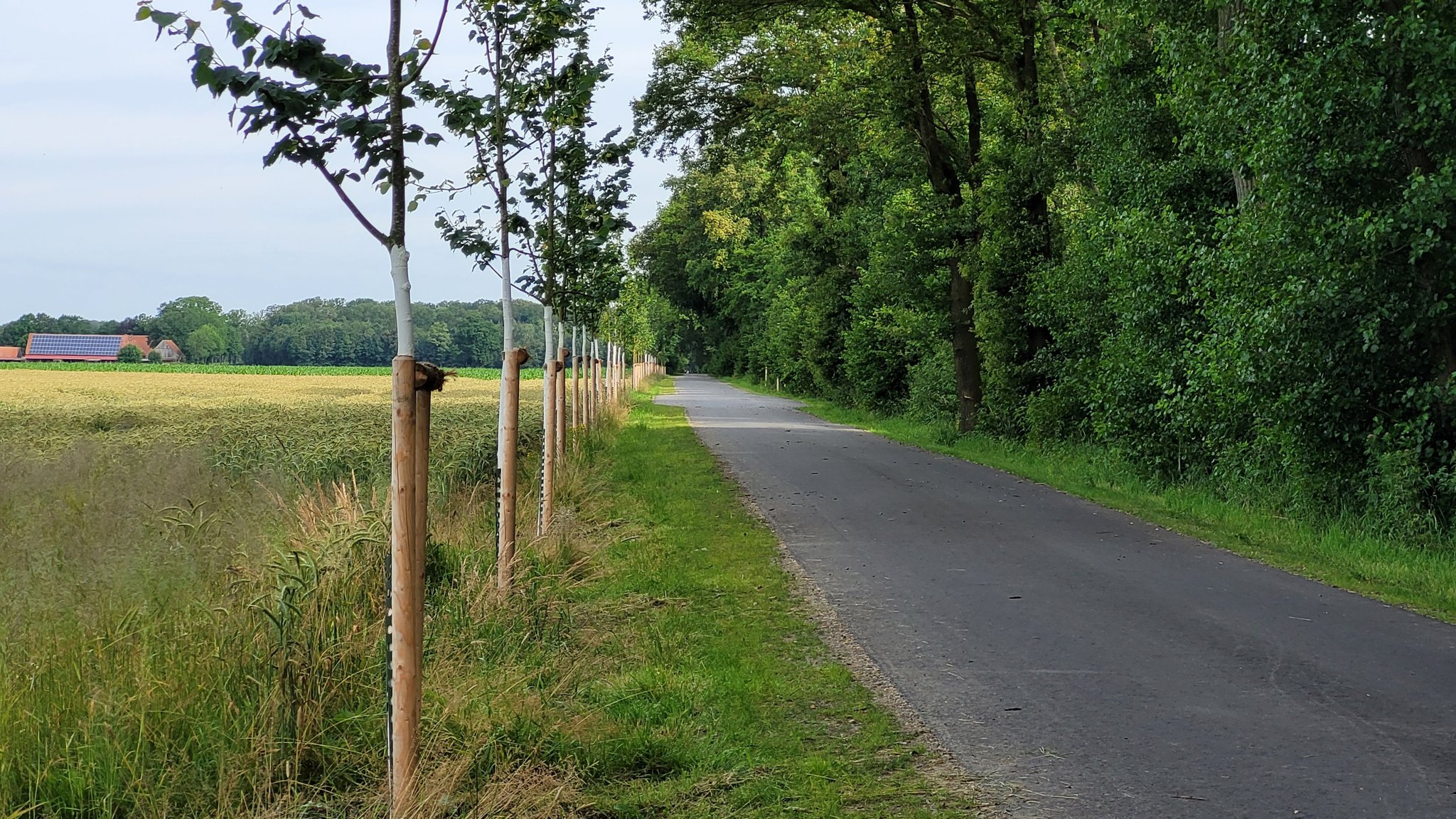 Testfahrt auf dem ausgebauten Radweg zwischen Westerode und Reckenfeld