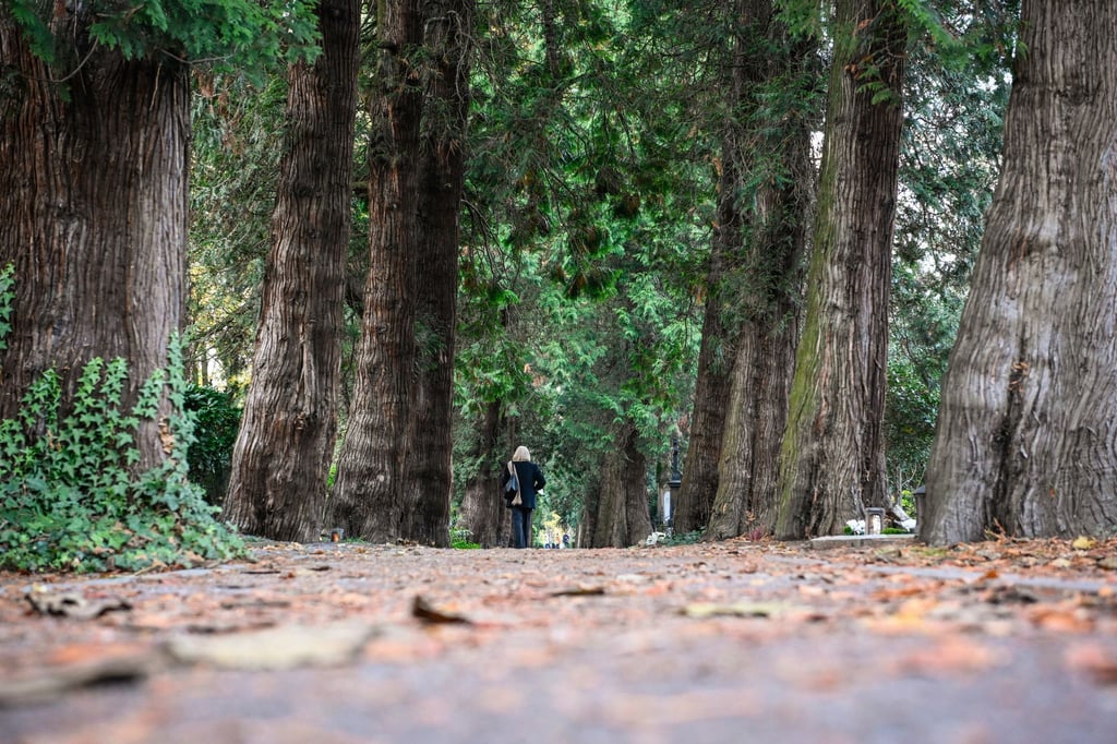 Verwitwet - wie geht es weiter?