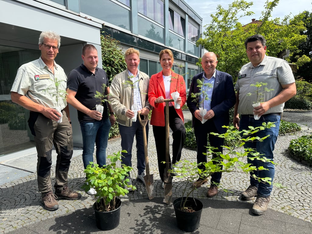 Kreis Paderborn: 22.517 Bäume für die Wälder