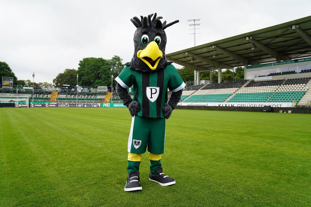 Premiere im Sommernachtskino: Preußen stellen Maskottchen „Fiffi“ vor