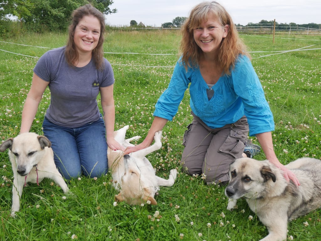 Hüllhorst: Hündin Malia findet ein liebevolles Zuhause