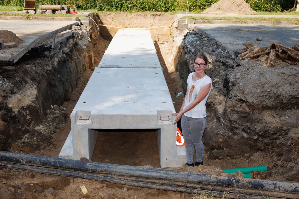 Amphibien kriegen unterirdisch dauerhafte Vorfahrt