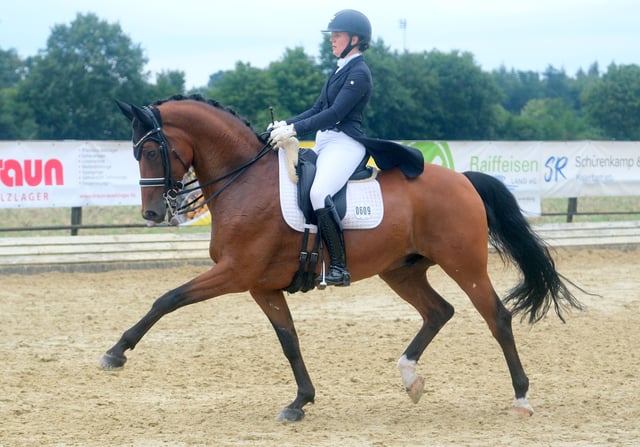 Reiten: Anna-Lena Vosskötter glänzt mit Valentano in der Dressur