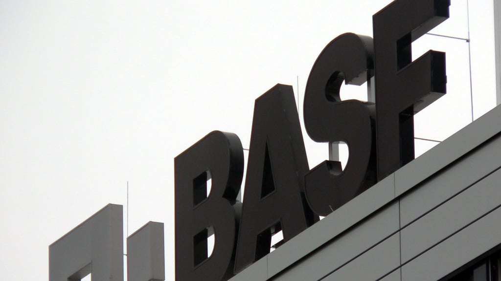 BASF: Erstes Geschäftsfeld steht bereits zum Verkauf
